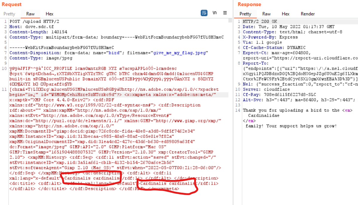 Writeup - Gullible by Dovesign (SDCTF 2022) - Justin Applegate